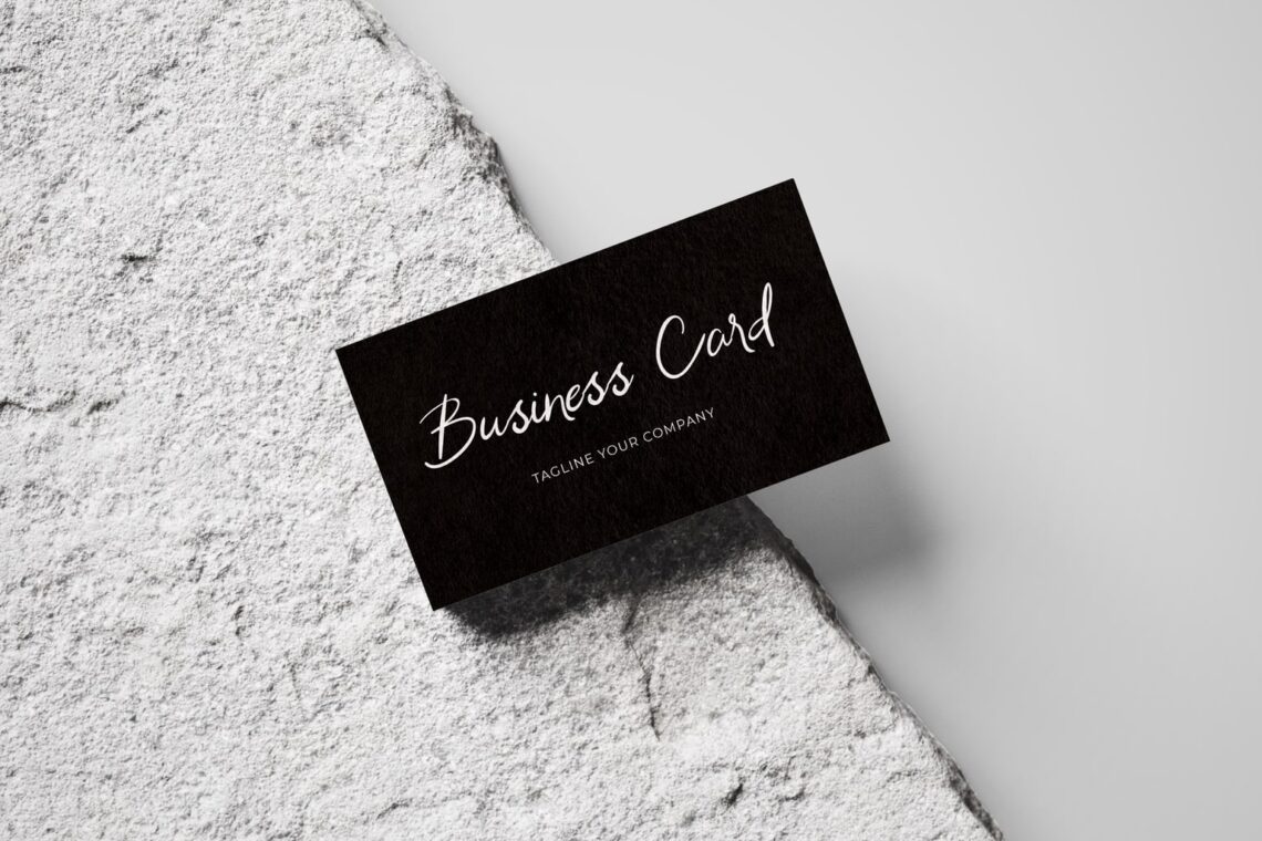 Brand Identity Fonts Collection - UI Creative